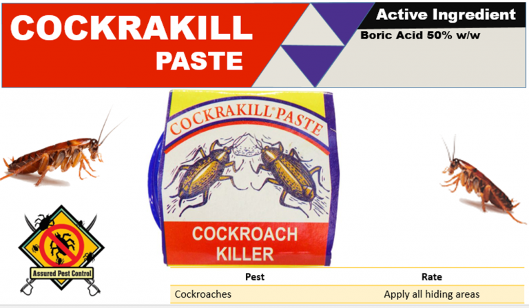 CockRoaches Control – Assured Pest Control
