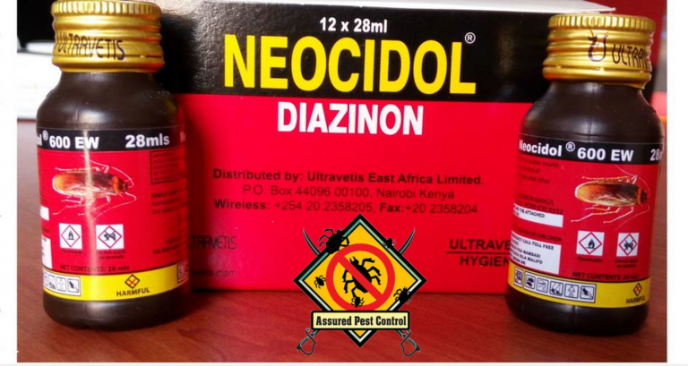 BedBugs Control – Assured Pest Control