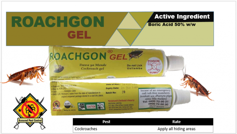 CockRoaches Control – Assured Pest Control