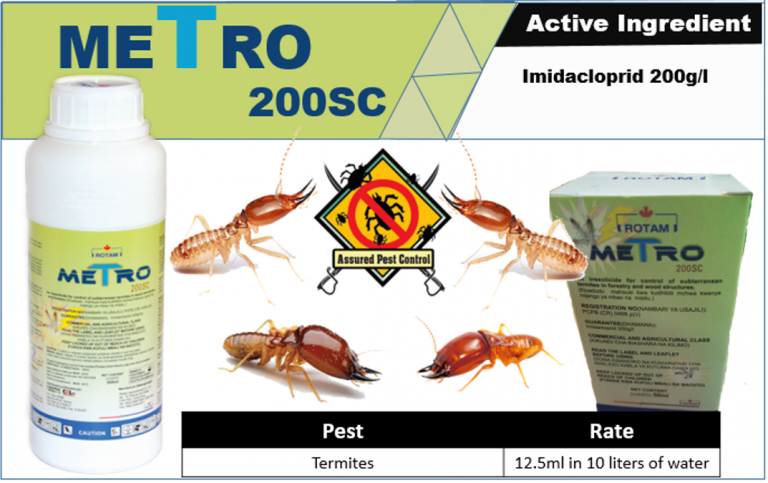 Termites Control – Assured Pest Control